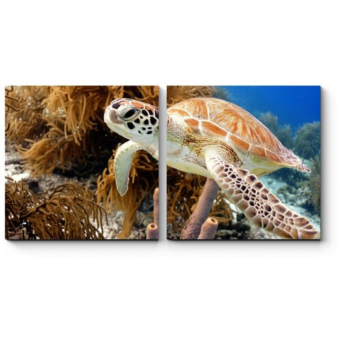 Модульная картина Черепаха, плывущая в коралловом рифе 120x60