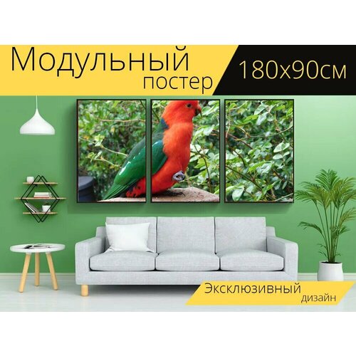 Модульный постер "Попугай, корольпопугай, австралия" 180 x 90 см. для интерьера