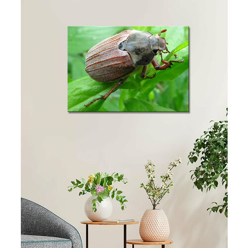 Картина - майский жук, жук, весна, крупный жук, природа, макро (2) 20х30