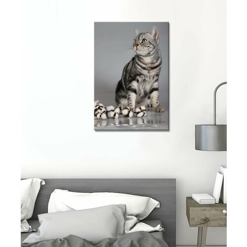 Картина - кошка, американская короткошёрстная кошка, домашняя кошка, ласковая кошка, кот (191) 30х40