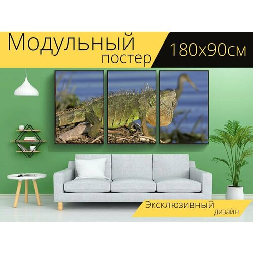 Модульный постер "Игуана, животное, банк" 180 x 90 см. для интерьера