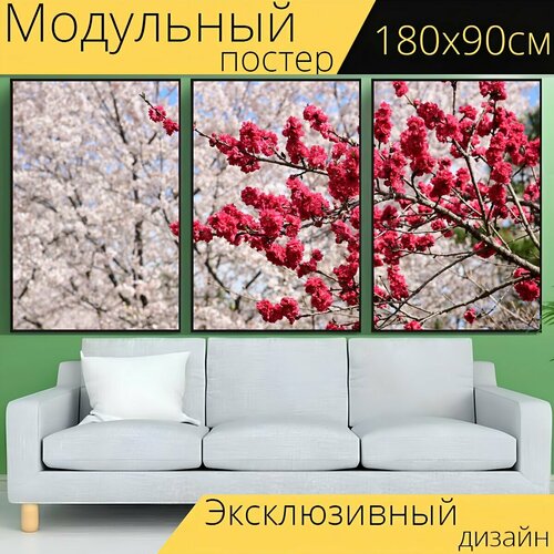 Модульный постер "Цветы, вишни в цвету, дерево" 180 x 90 см. для интерьера