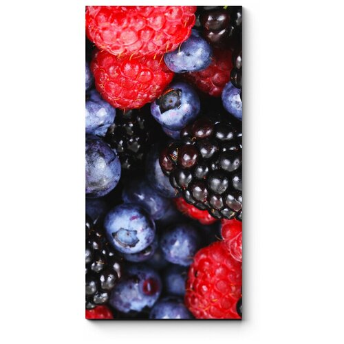 Модульная картина Сладкие ягоды 30x60