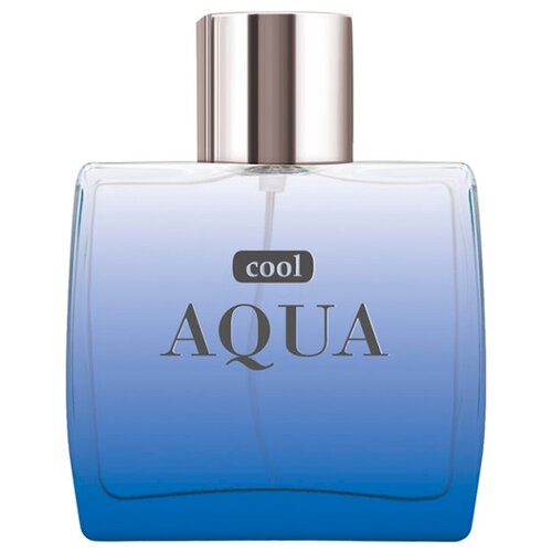 Dilis Parfum туалетная вода Aqua Cool, 100 мл, 600 г