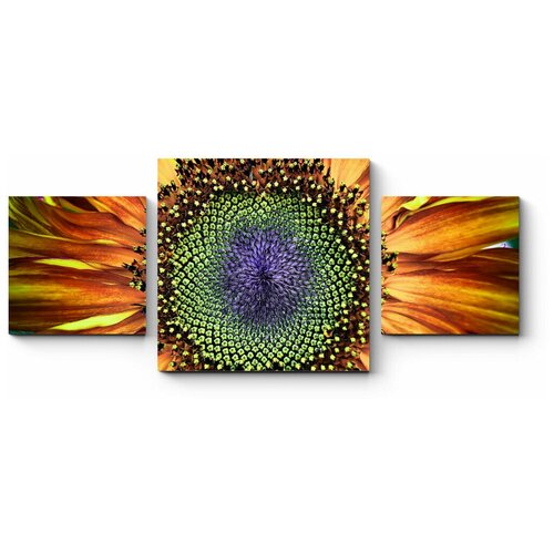 Модульная картина Внутри цветка солнца 180x77