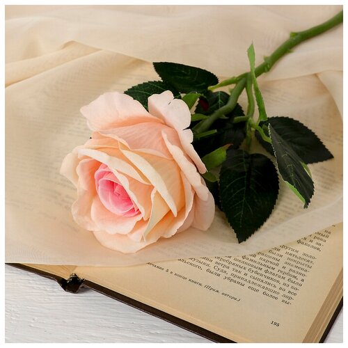 Poetry in flowers Цветы искусственные "Роза венесуэльская" 8х23 см, персиковый