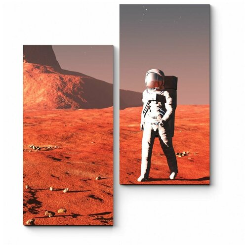 Модульная картина Прогулка по Марсу 40x50