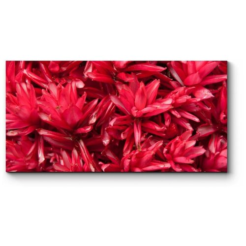 Модульная картина Красные тропические цветы120x60