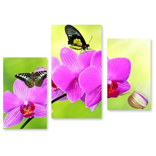 Модульная картина на холсте "Орхидеи и бабочки" 90x68 см