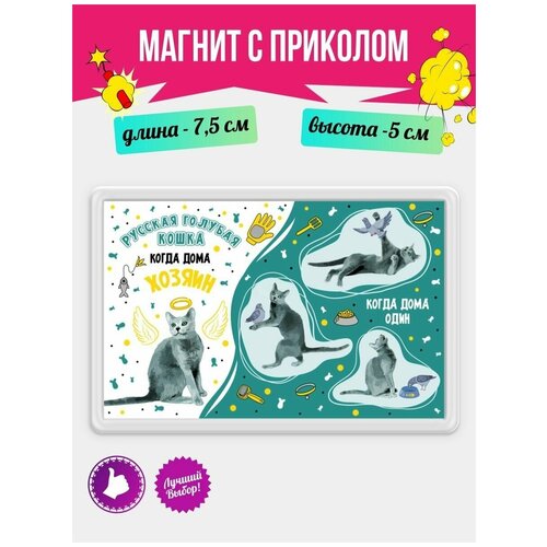 Магнит с рисунком котов разных пород Когда дома один Русский Голубой. Магнитик на доску с рисунком из акрила на подарок