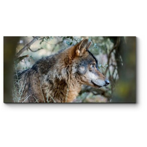 Модульная картина Волк спрятался между деревьями 80x40