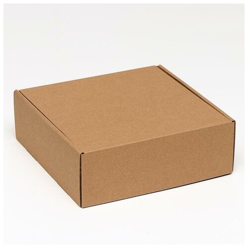 Коробка самосборная, крафт, 23 х 23 х 8 см (5 шт)