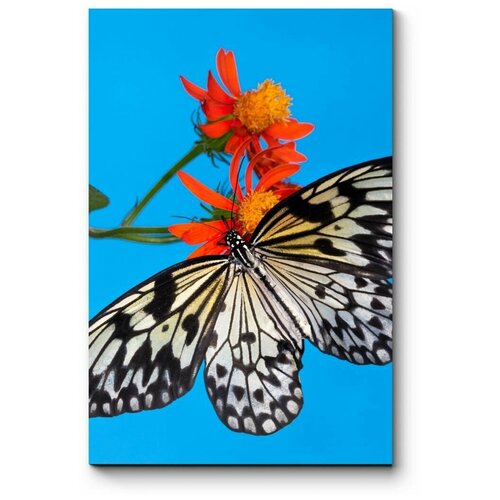 Модульная картина Бабочка на алом бутоне 100x150