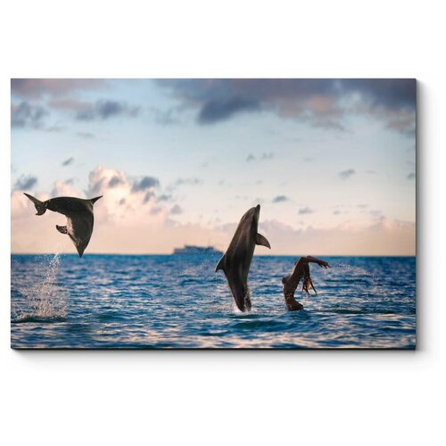 Модульная картина Купание с дельфинами70x47