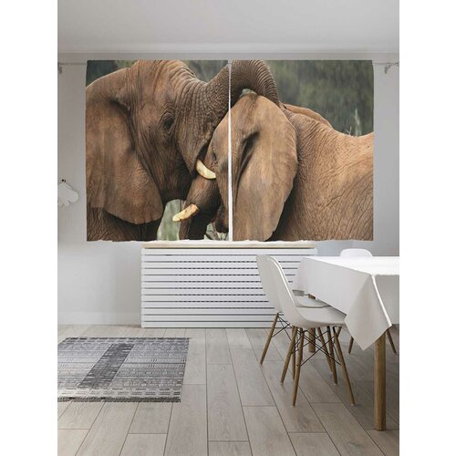 Шторы JoyArty с фотопечатью "Слоны обнимаются" из сатена, 290х180 см