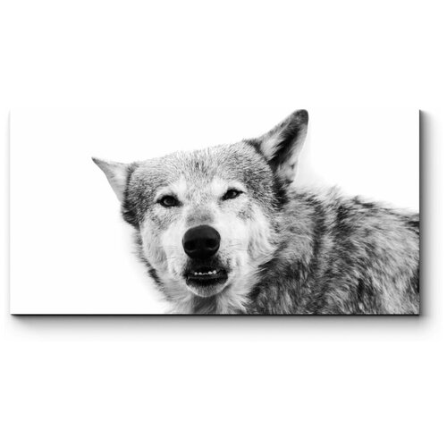 Модульная картина Монохромный волк 90x45
