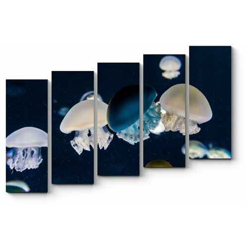 Модульная картина Красивые медузы110x77