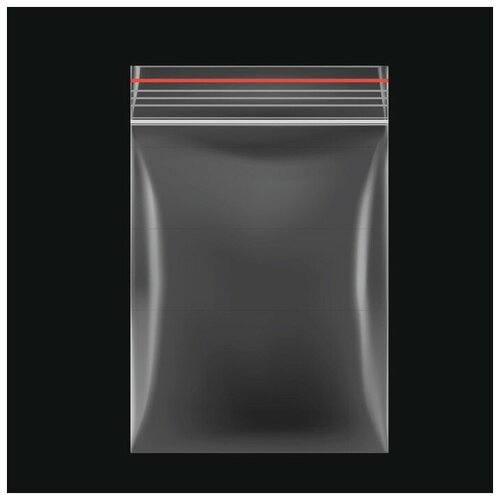 Пакет zip lock 25 x 30 см, 30 мкм (100 шт)