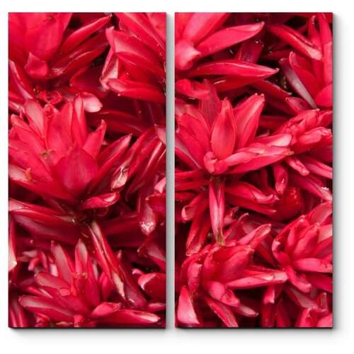 Модульная картина Красные тропические цветы100x100