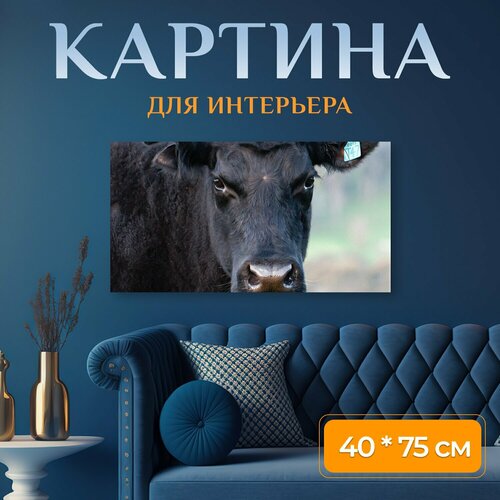 Картина на холсте "Корова, крупный рогатый скот, бычий" на подрамнике 75х40 см. для интерьера