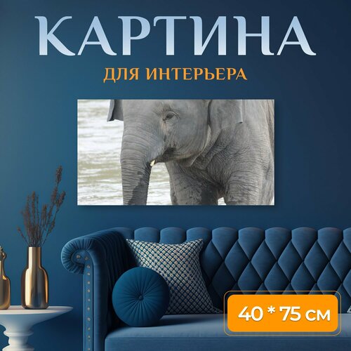 Картина на холсте "Слон, дикая природа, вода" на подрамнике 75х40 см. для интерьера