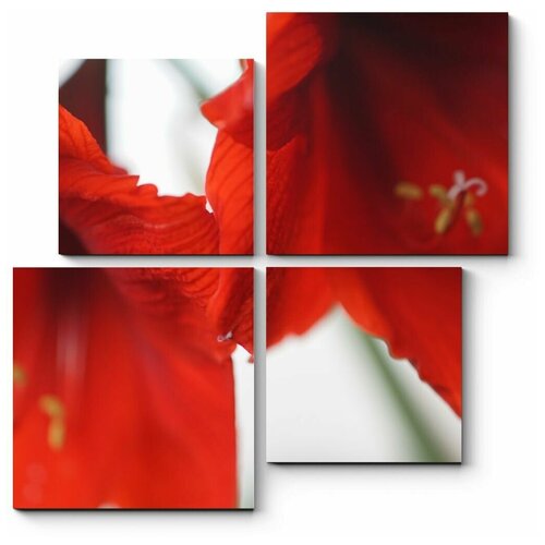 Модульная картина Красные цветы80x80