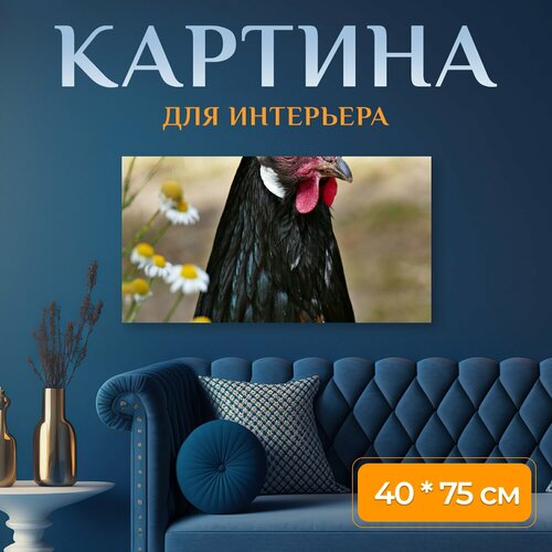 Картина на холсте "Курица, петух, домашняя птица" на подрамнике 75х40 см. для интерьера