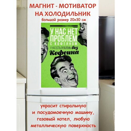 Прикольный подарок, у нас нет проблем мотивация магнит гибкий на холодильник 20 на 30 см