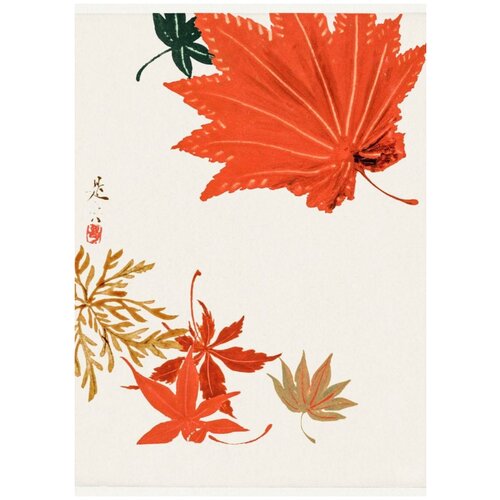 Постер / Плакат / Картина Листья - Огненные листья 40х50 см в подарочном тубусе