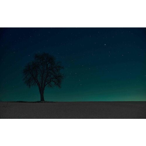 Картина на холсте 60x110 LinxOne "Дерево, силуэт, звезды, ночь, небо, темный" интерьерная для дома / на стену / на кухню / с подрамником