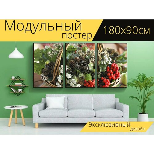 Модульный постер "Корзина, растения, фрукты" 180 x 90 см. для интерьера