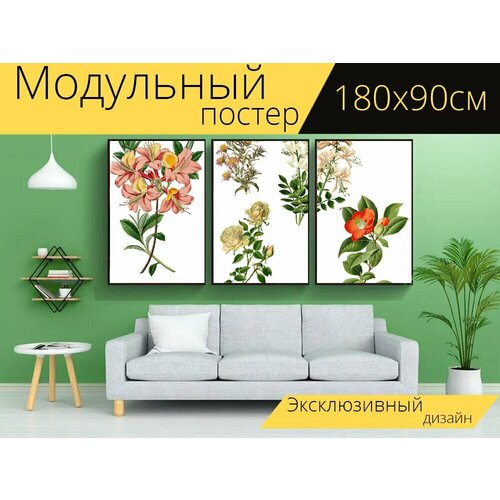 Модульный постер "Винтаж, садовые растения, цветы" 180 x 90 см. для интерьера