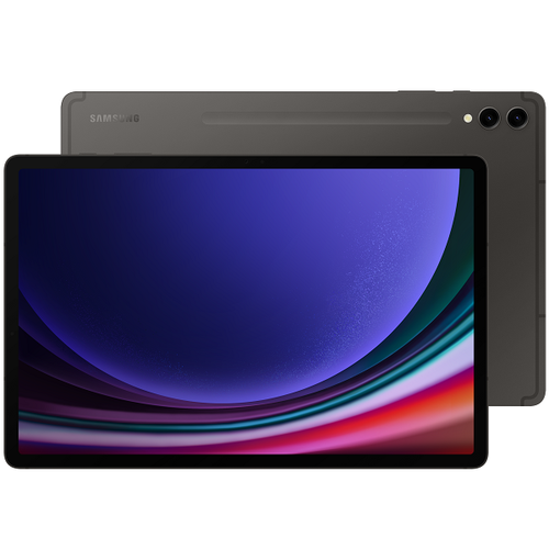 Планшет Samsung Galaxy Tab S9+ (2023) SM-X810 256GB Wi-Fi графит (ЕАС)