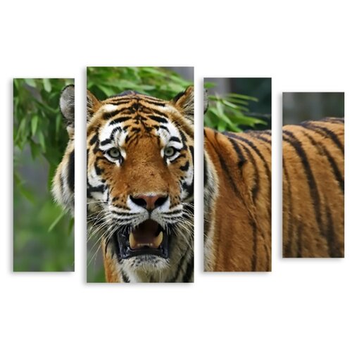 Модульная картина на холсте "Грозный тигр" 90x65 см