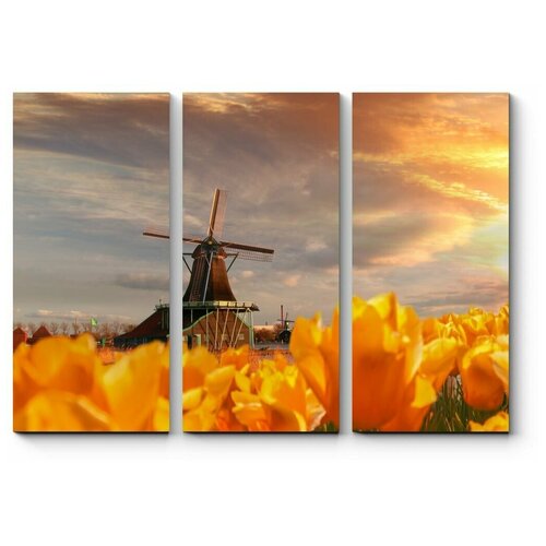 Модульная картина Ветряная мельница и желтые тюльпаны на закате 60x43