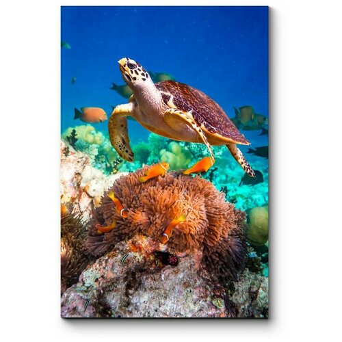 Модульная картина Черепаха в коралловом рифе 60x90