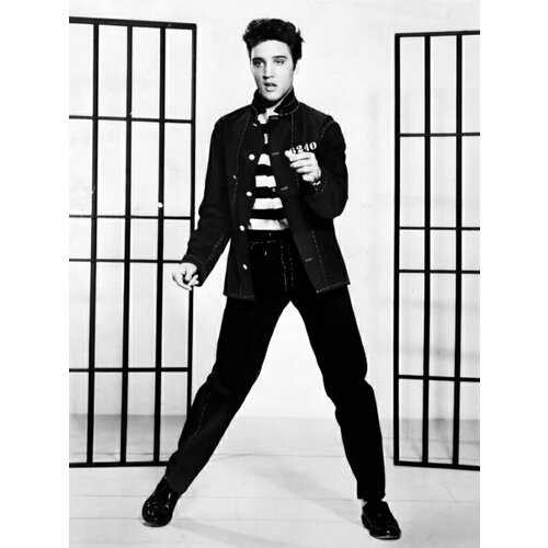 Плакат, постер на холсте Presley Elvis/Элвис Пресли/музыкальные/поп исполнитель/артист/поп-звезда/группа. Размер 21 х 30 см