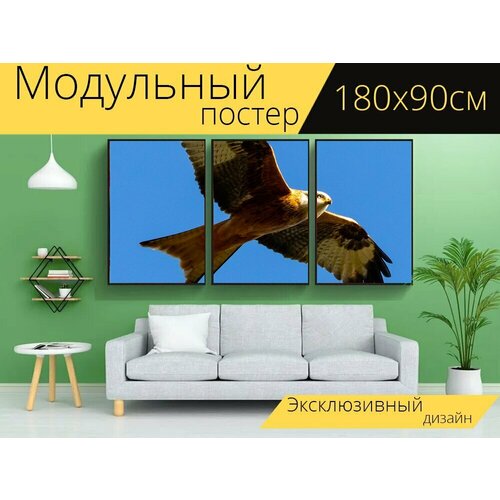 Модульный постер "Красный коршун, летающий, парящий" 180 x 90 см. для интерьера