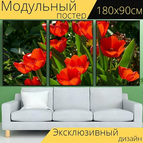 Модульный постер "Красные тюльпаны, в солнечном свете, яркий" 180 x 90 см. для интерьера