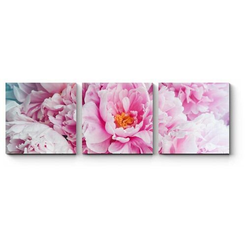 Модульная картина Нежно-розовые пионы 110x37