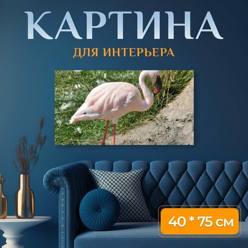 Картина на холсте "Фламинго, птица, меньший" на подрамнике 75х40 см. для интерьера