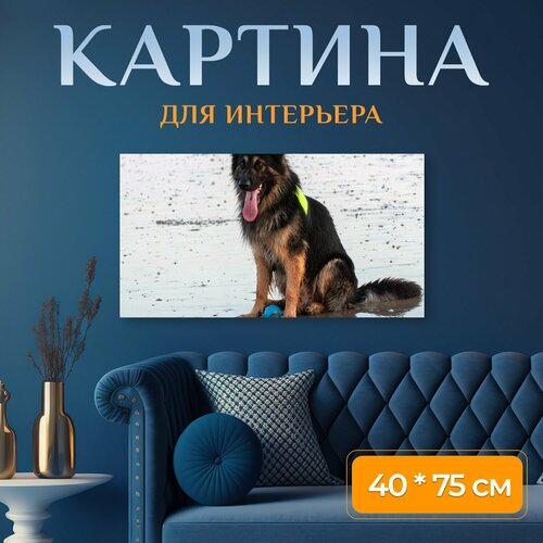 Картина на холсте "Немецкий, пасти, собака" на подрамнике 75х40 см. для интерьера