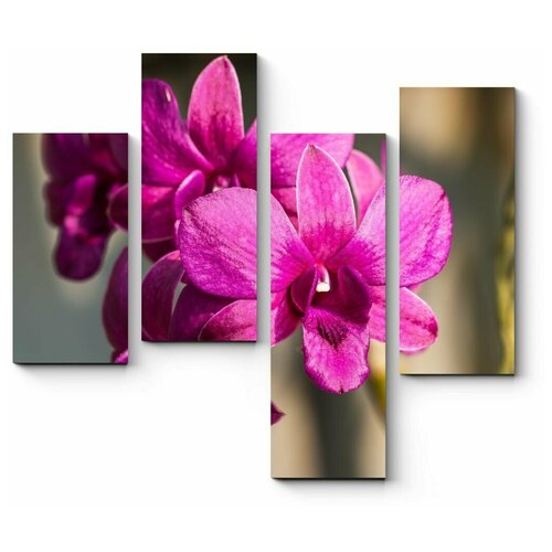 Модульная картина Королева цветов - прекрасная орхидея 104x98