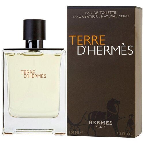 Туалетная вода Terre d Hermes, 100 мл