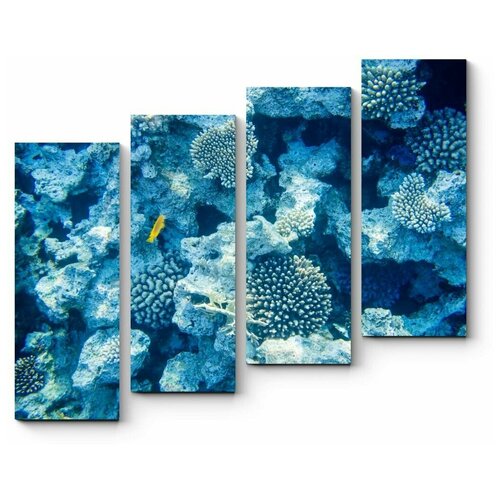 Модульная картина Коралловые рифы 110x95