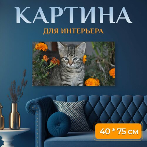 Картина на холсте "Животные, котенок, молодой котенок" на подрамнике 75х40 см. для интерьера