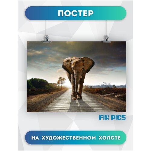 Постер на холсте красивый слон на дороге 30х40 см