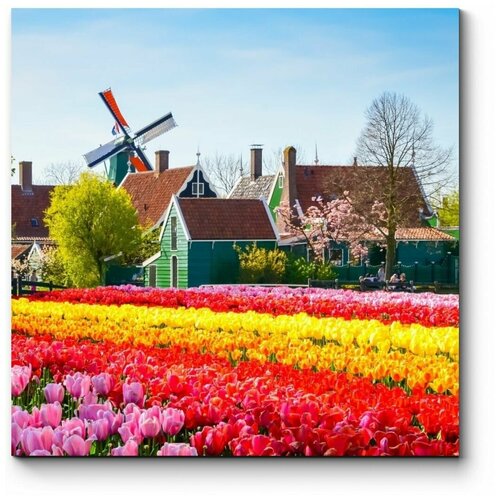 Модульная картина Тюльпановое поле, Амстердам 70x70