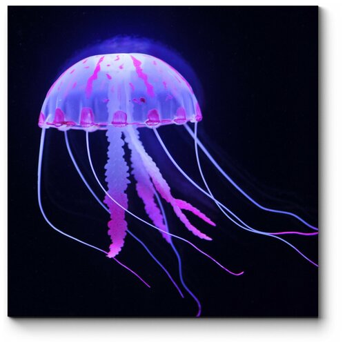 Модульная картина Светящаяся неоновая медуза 80x80
