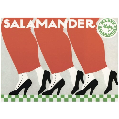 Постер / Плакат / Картина Обувь Salamander 40х50 см в раме